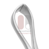 Lorna Edna Towel Clamp - Towel Forceps | New Med Instruments