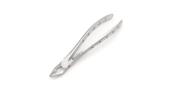 Gentle Extraction Forceps-35 | New Med Instruments