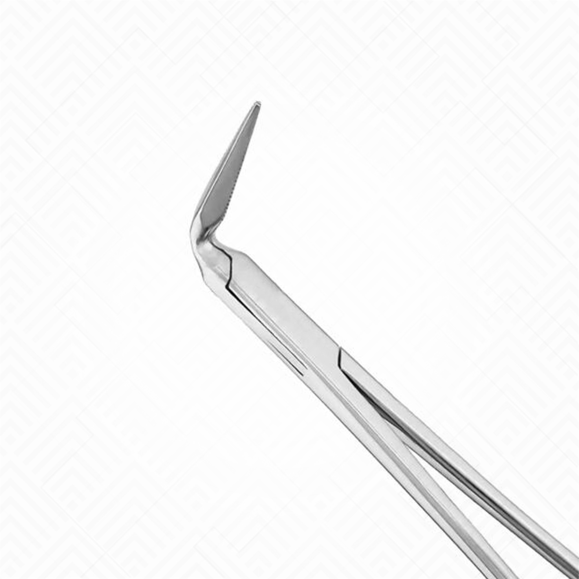 Dental Steiglitz Fragment Forceps | New Med Instruments