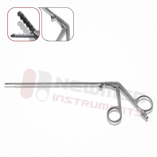 Order Micro Laryngeal Forceps | New Med Instruments